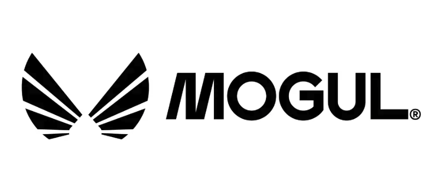 mogul Overview: Features, Pricing, and More • Benzinga